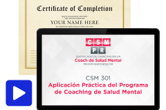 CSM 301: Aplicación práctica del programa de coaching de salud mental | Light University Español